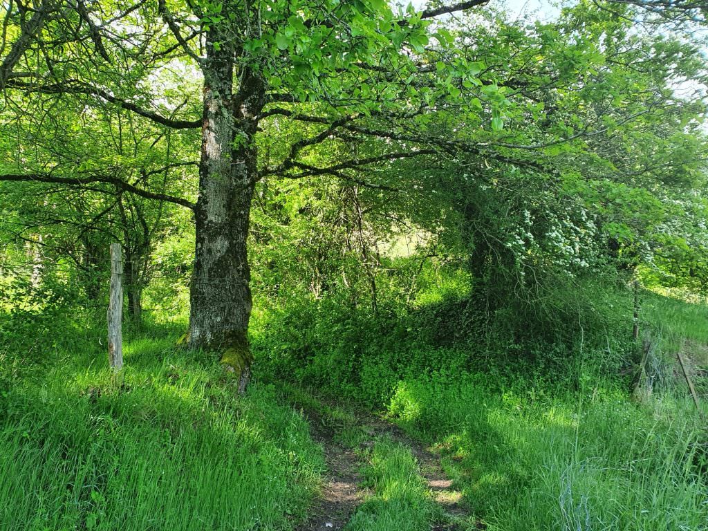 Présentation - Commune de Mayran