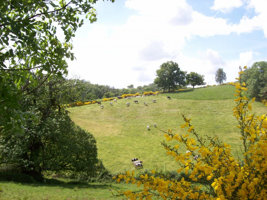 Présentation - Commune de Mayran